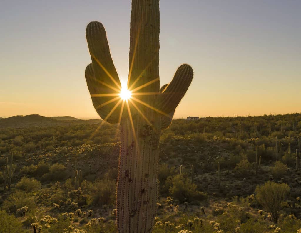 What is The Golden Hour in Photography? How to Capture it – Photography ...