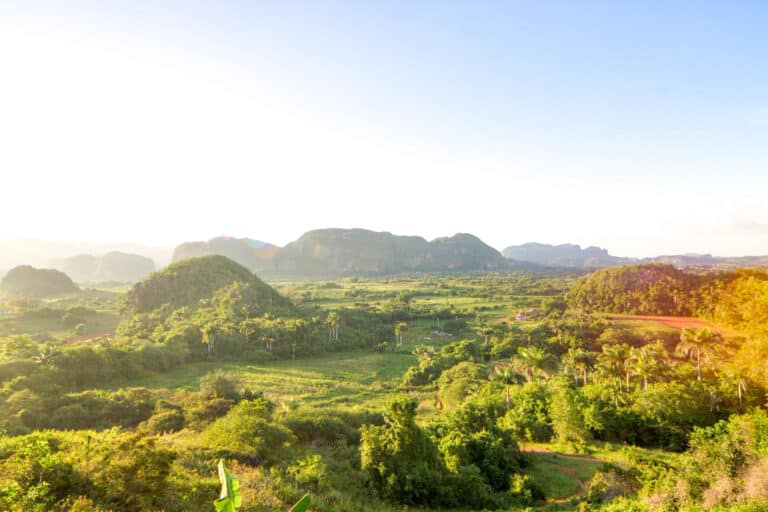 How Do You Get Lens Flare in Photography? – Photography Skool