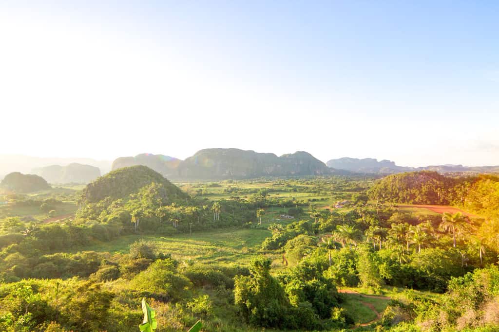 How Do You Get Lens Flare in Photography? – Photography Skool