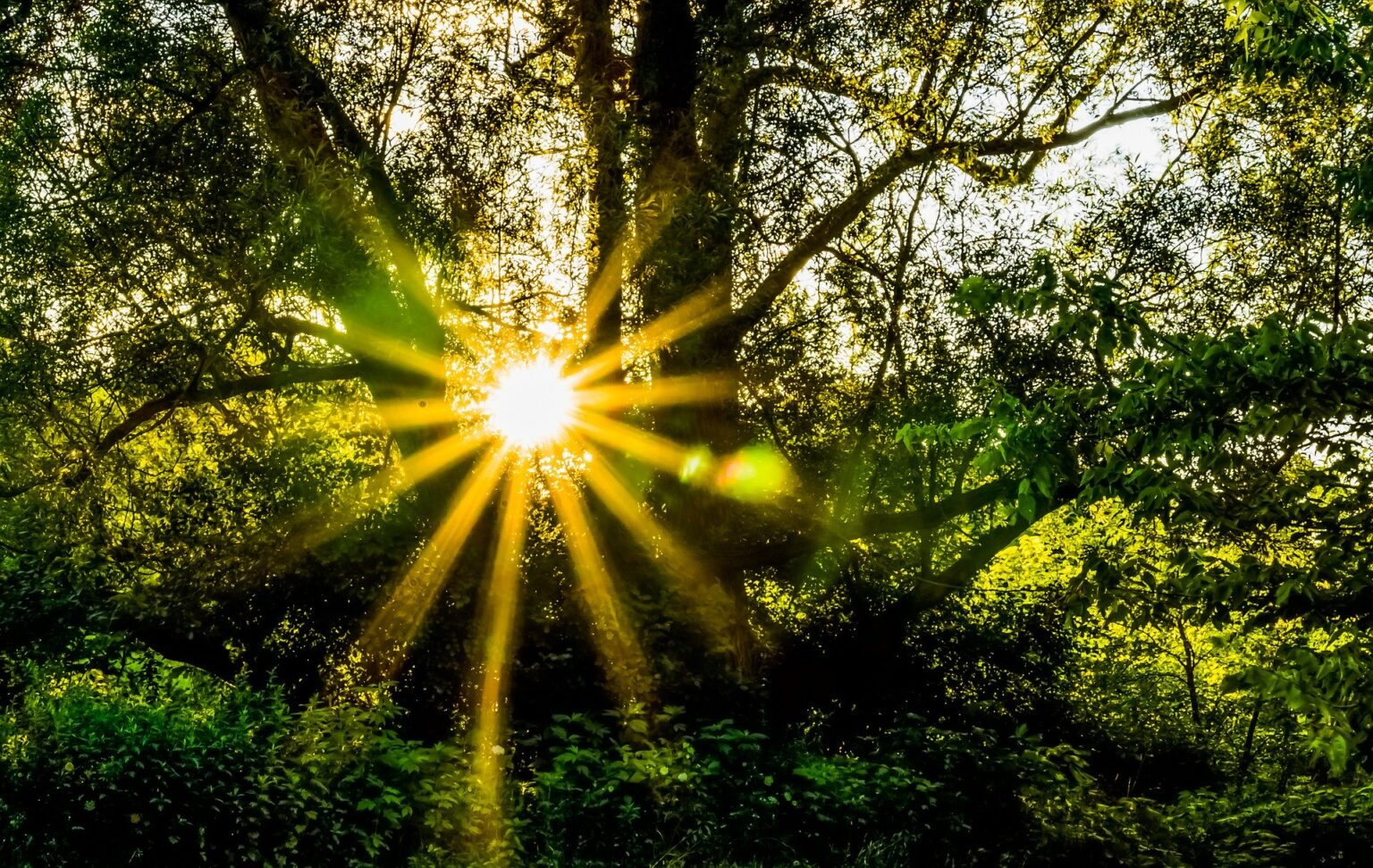 How Do You Get Lens Flare in Photography? – Photography Skool