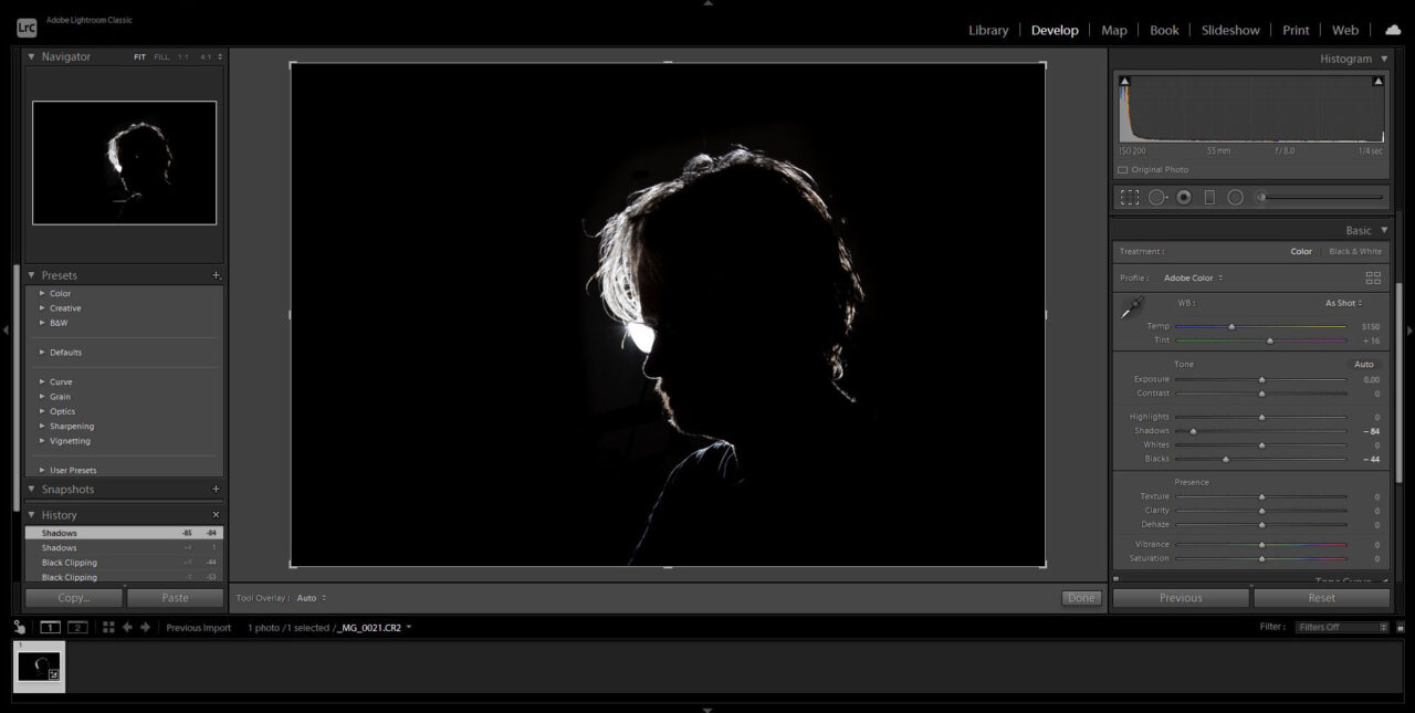 How to Take Low Key Photos Indoors And Outdoors – Photography Skool