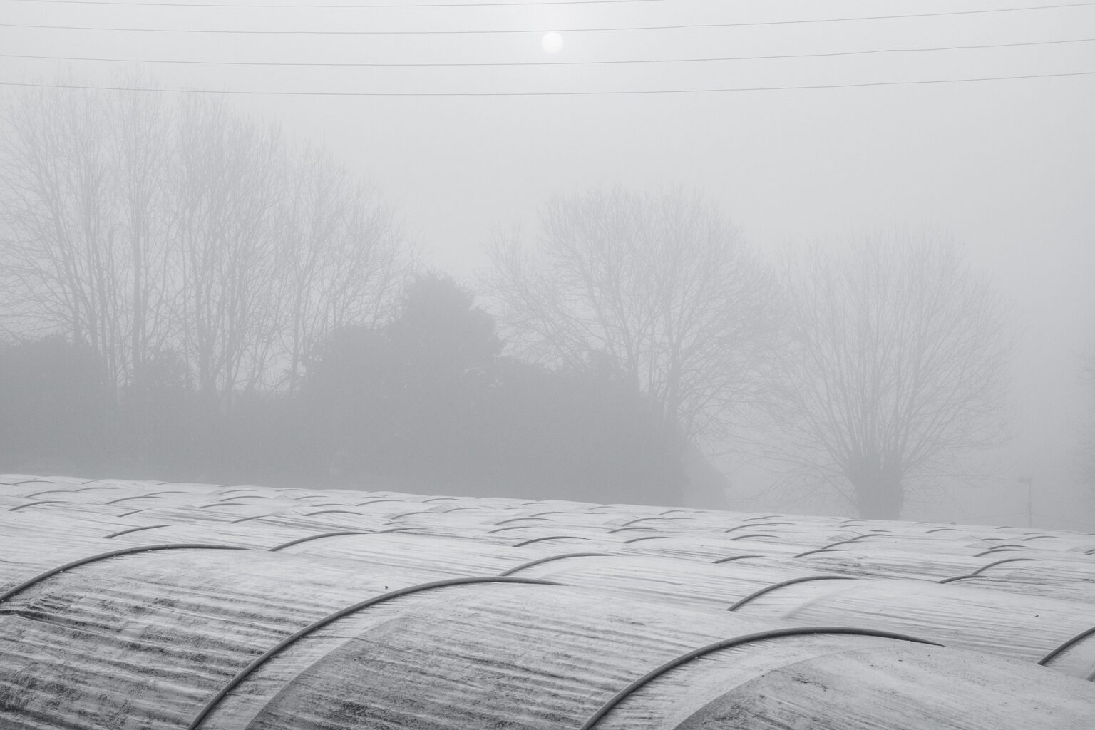 How to Take High Key Photos – Photography Skool