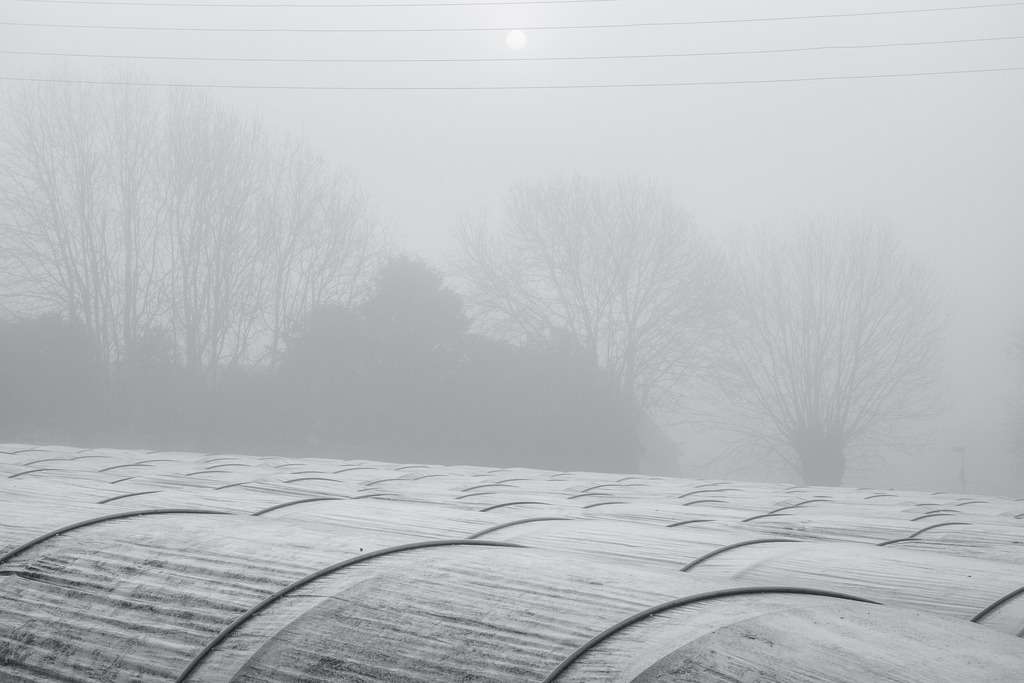 How to Take High Key Photos – Photography Skool