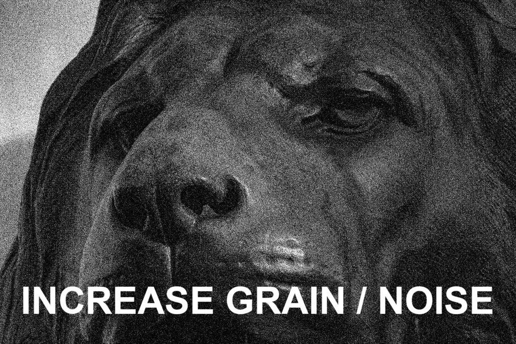 How to Take Grainy Photos – Photography Skool