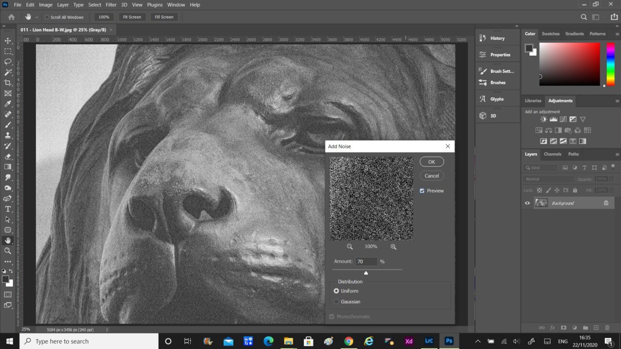 How to Take Grainy Photos – Photography Skool