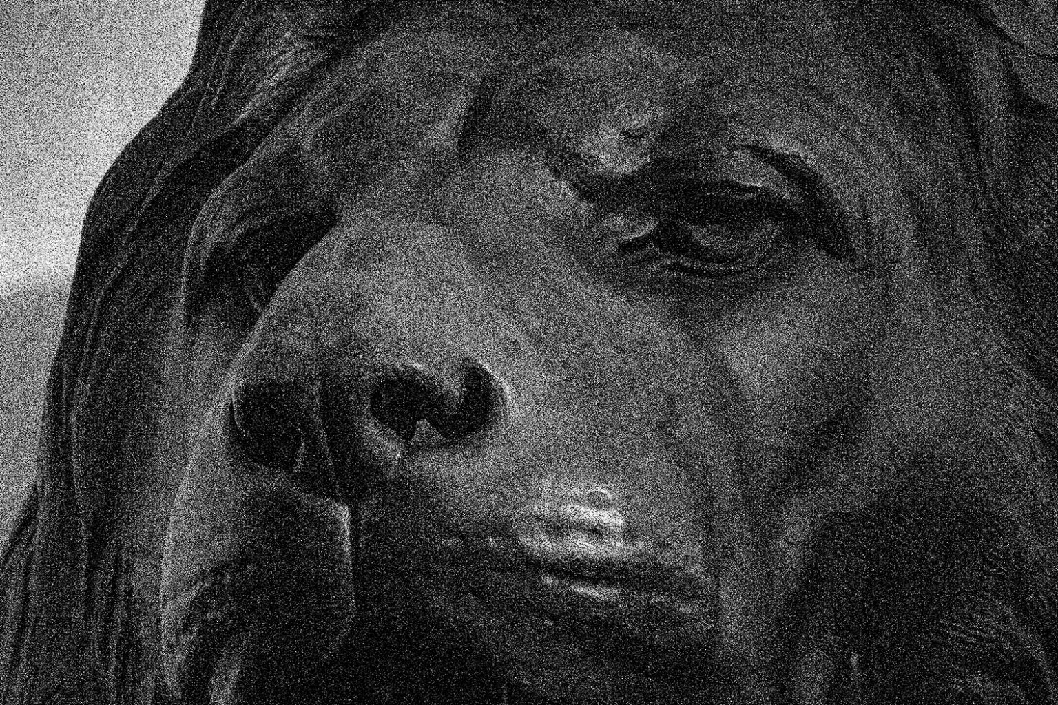 How to Take Grainy Photos – Photography Skool