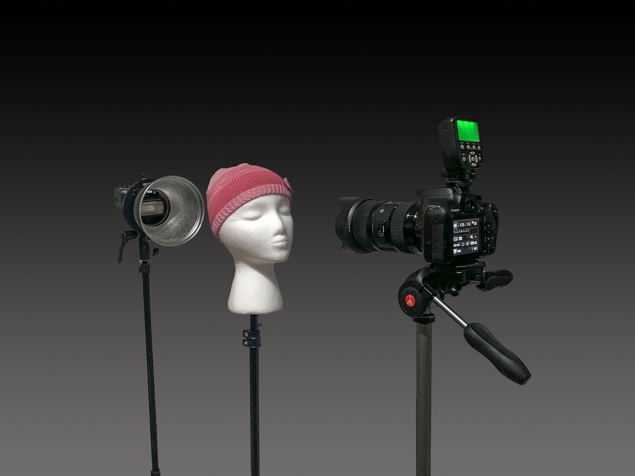 What is Rim Lighting in Studio Photography? – Photography Skool